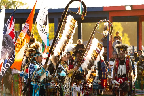 Gallery - Capturing the Beauty of Sweetgrass First Nation