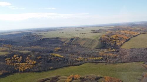 Sweetgrass First Nation - Celebrating Our Heritage, Shaping Our Future